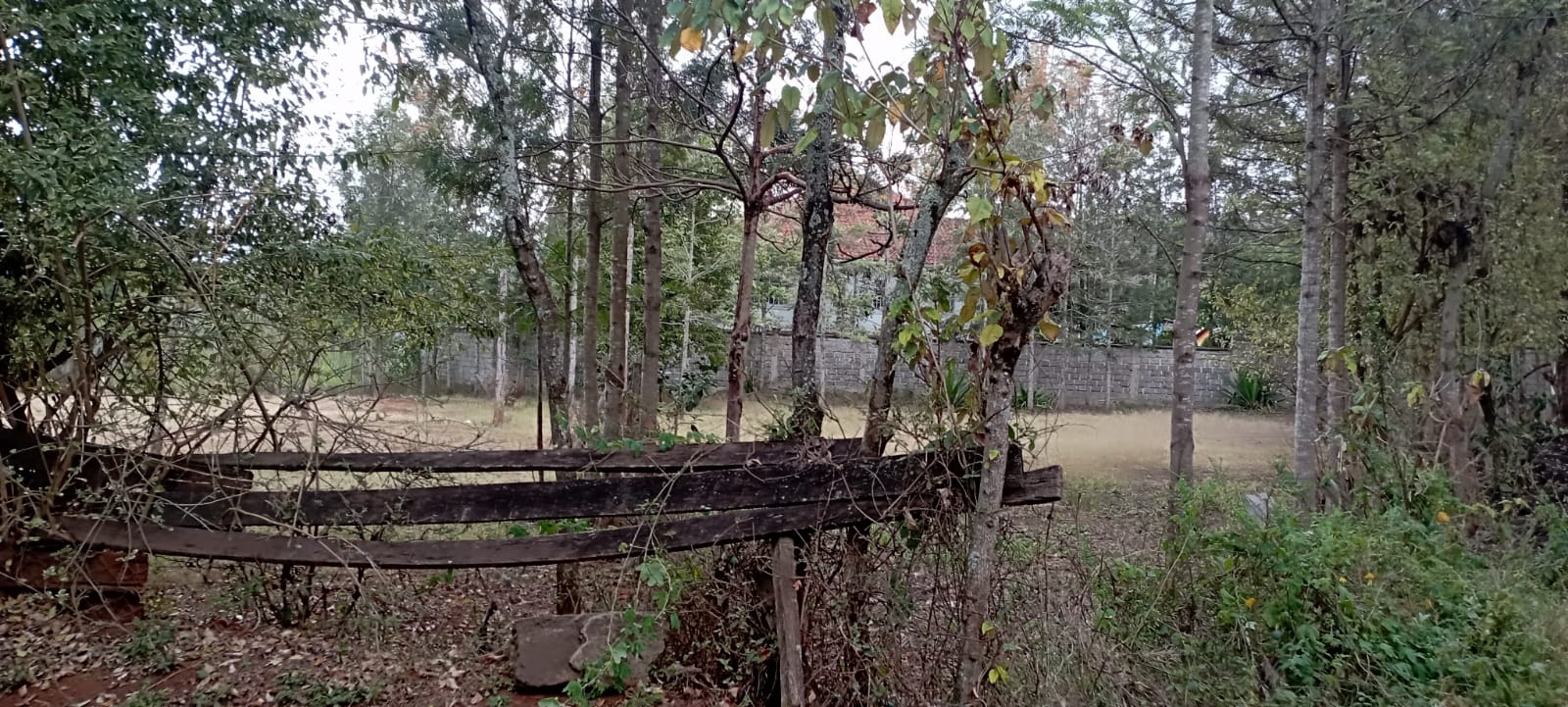 MATASIA NGONG’ GARDEN – PIONEER CONSULTANCY SERVICES